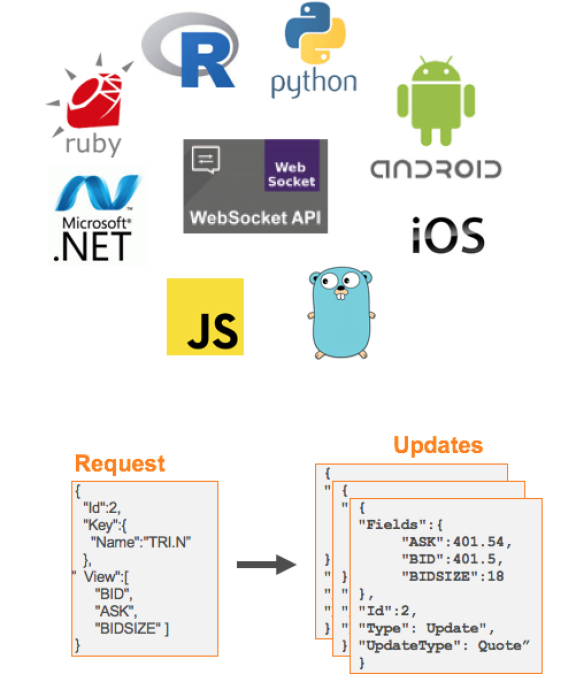 LSEG WebSocket API | Devportal