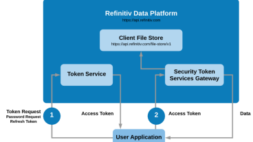 A Step-By-Step Workflow Guide for RDP Client File Store (CFS) API | Devportal