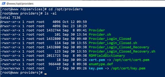 Introduction to the Real-Time Optimized Simulator Docker Image | Devportal
