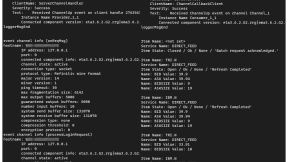 Testing EMA Consumer and Provider Applications | Devportal